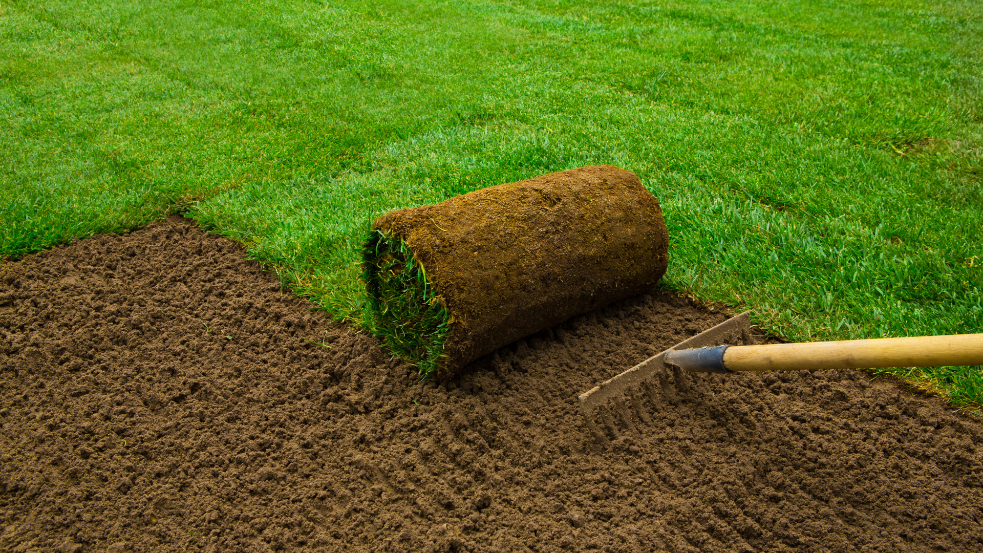 Step-by-Step Sod Laying: Your Ultimate Guide
