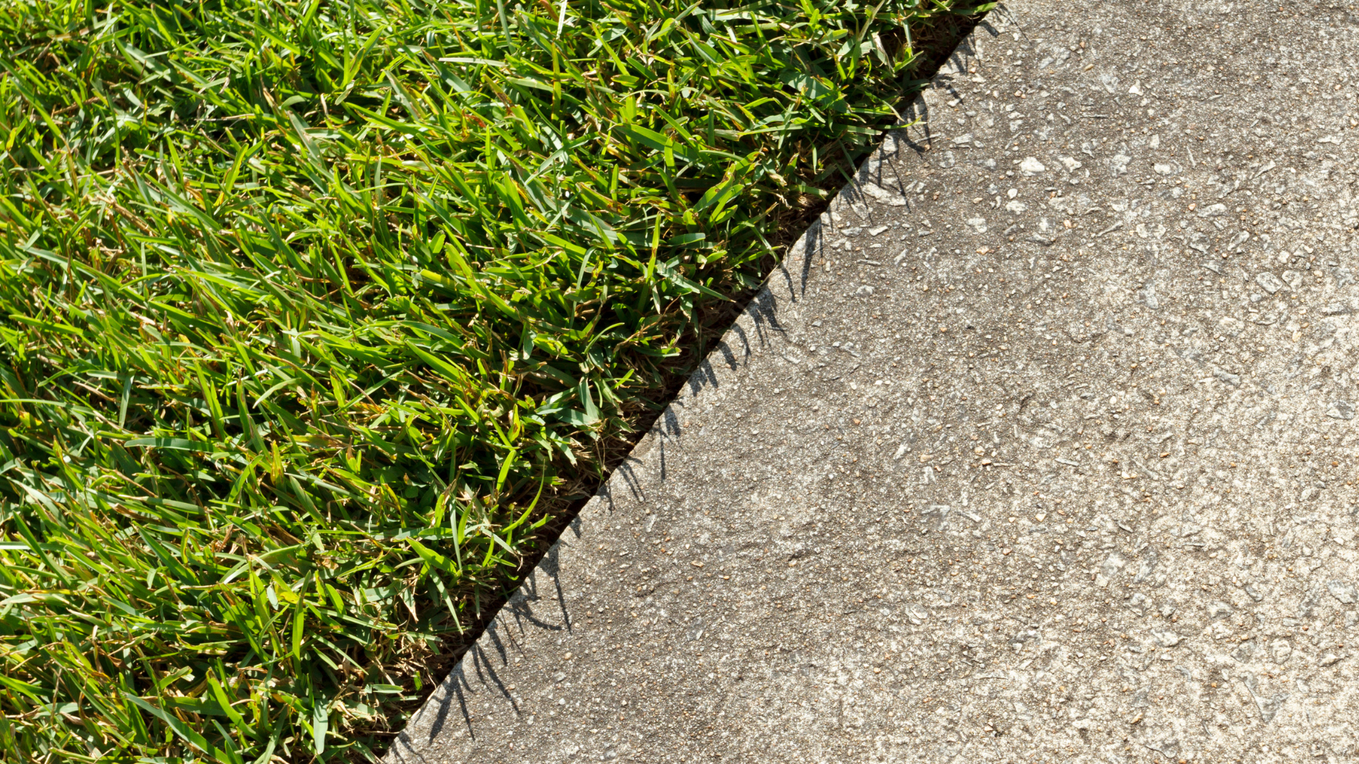 How to Edge Your Lawn Like a Pro: Step-by-Step Guide